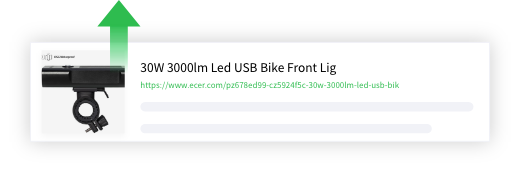 Ecer-Search Engine Keyword Ranking